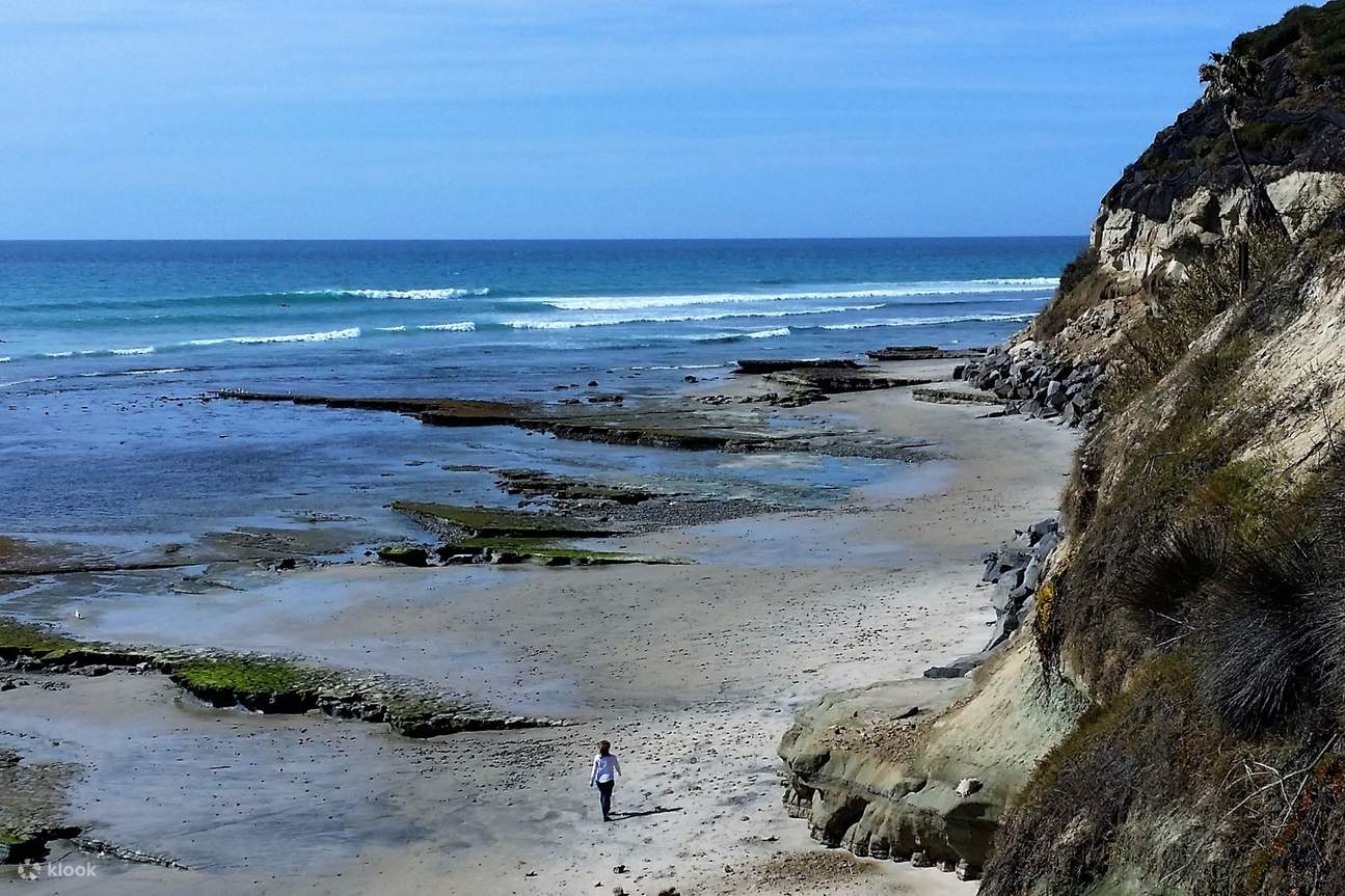 San Diego Coastal Tour - Klook India