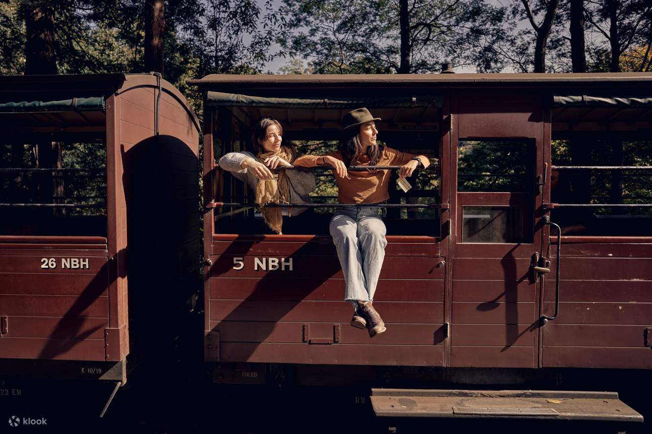 Puffing Billy Steam Train, Cherry Picking and Chocolate 1-Day Tour ...