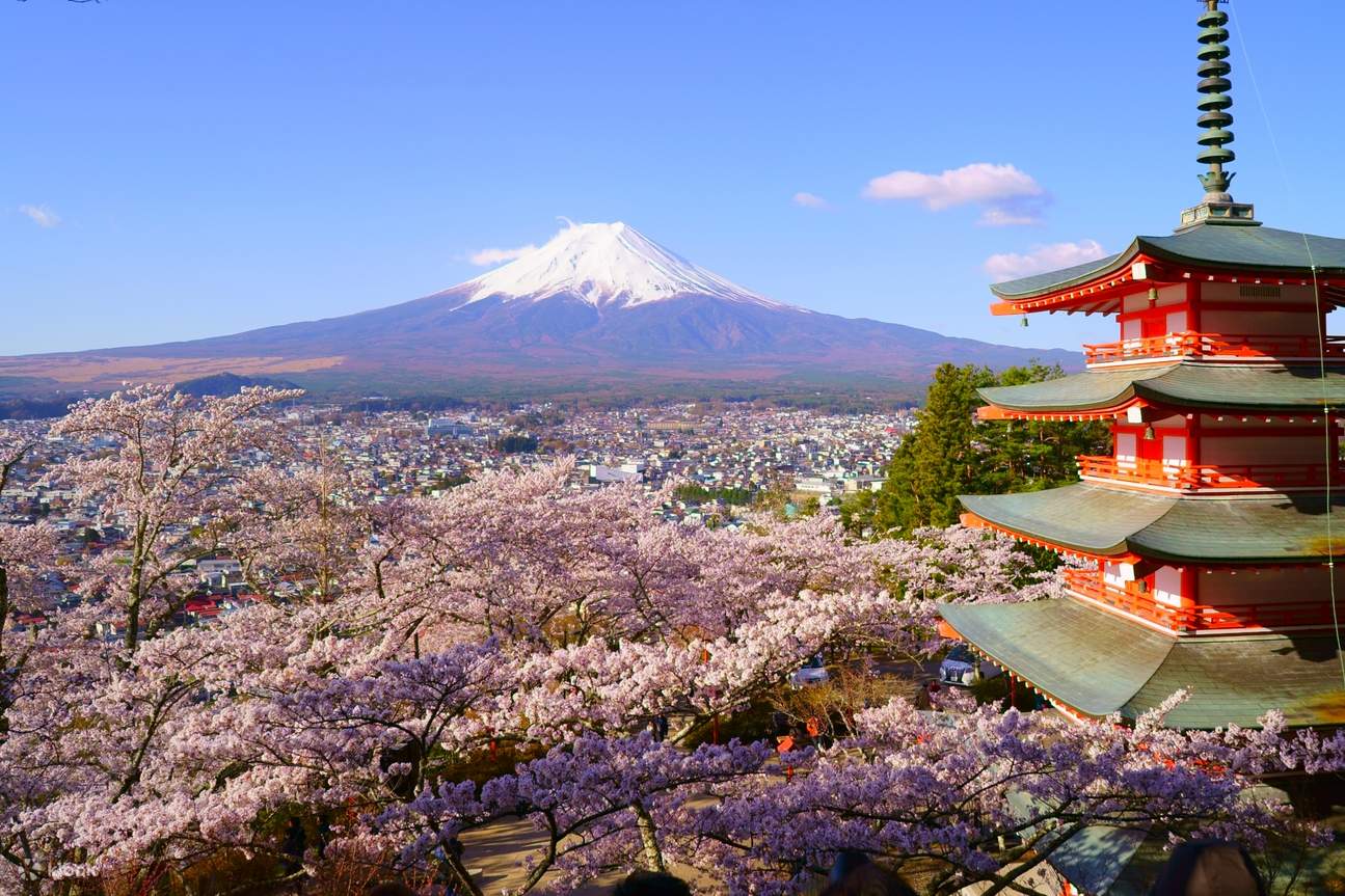 Tour di un giorno dei punti panoramici del Monte Fuji e del Lago ...