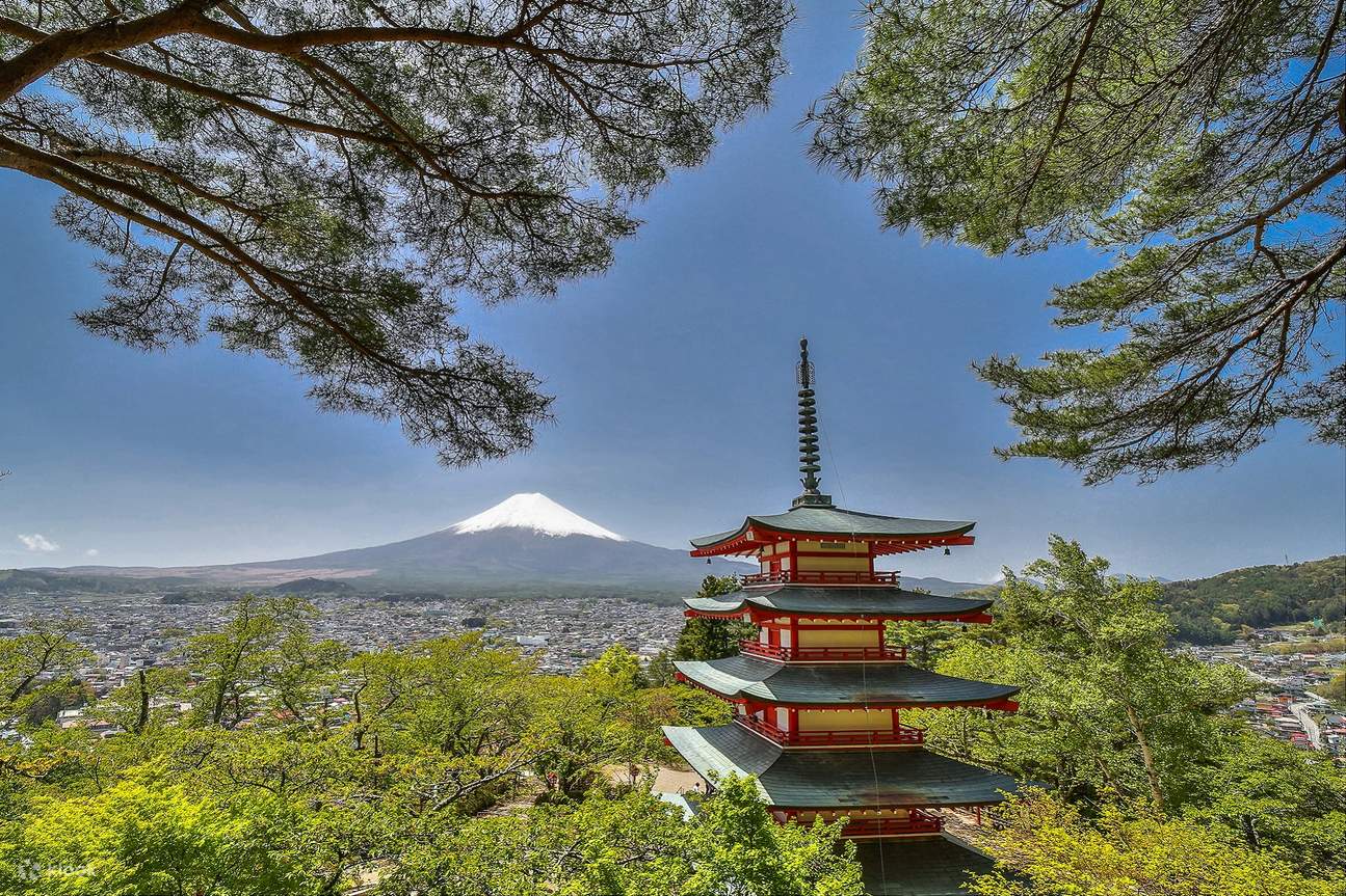 "Fuji Sky Torii Secret One-Day Tour" 5ª Stazione del Monte Fuji & Fuji ...