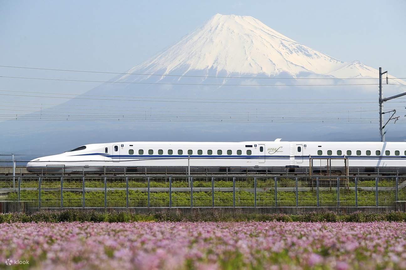 Tur Pertanian Wasabi Mt. Fuji & Shizuoka dengan Kereta Hokusai ...