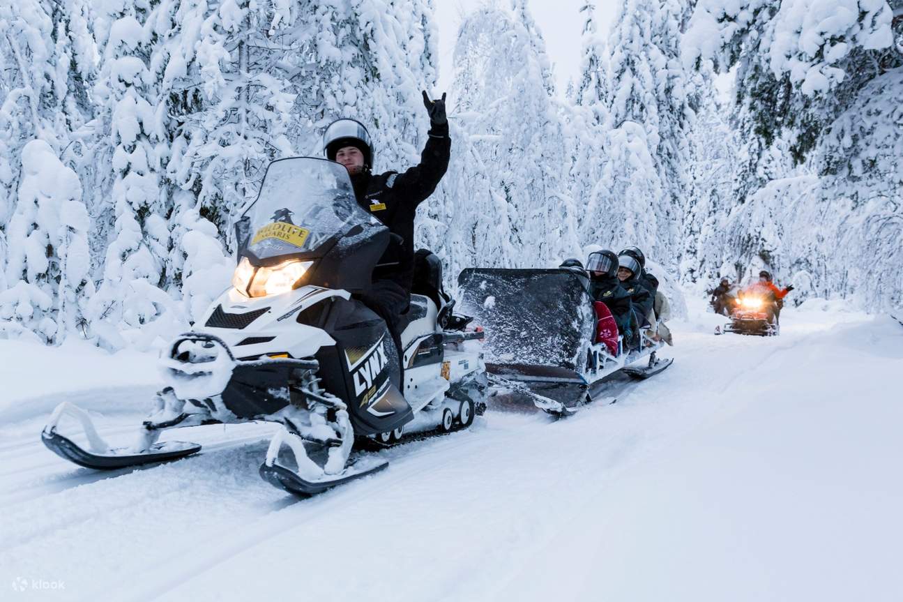 Aurora Borealis Snowmobile Safari Experience in Ranua Wilderness ...