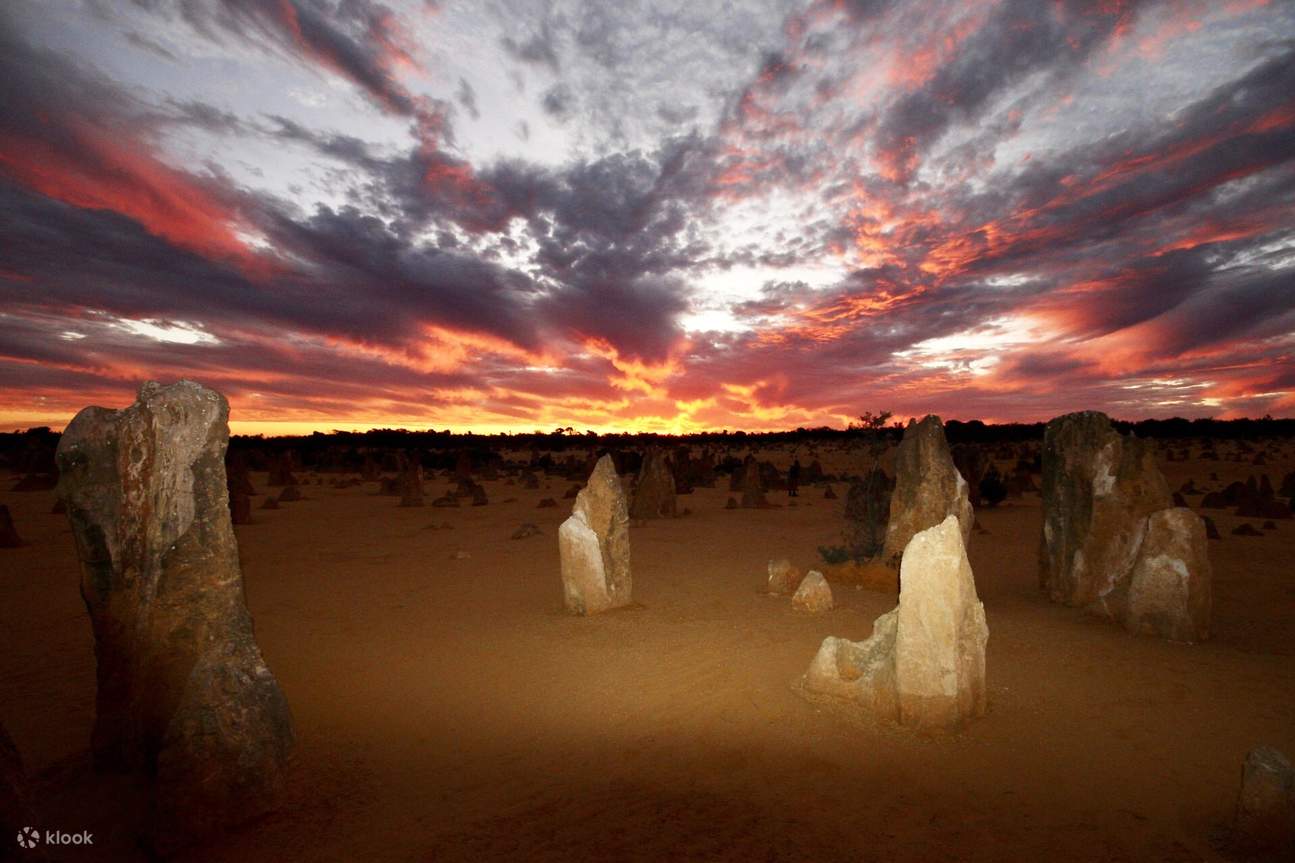 Pinnacles Sunset Dinner and Wildlife Full Day Tour di Pinnacles ...