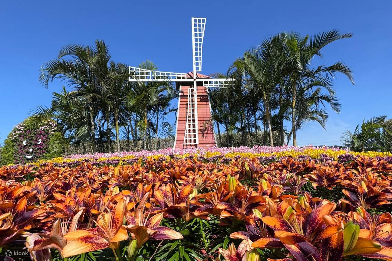 Taichung Gaomei Wetland & Zhongshe Flower Market & Chun Shui Tang ...