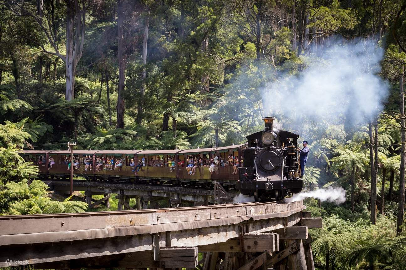 Tarrawarra Estate, Healesville Sanctuary & Puffing Billy Train Tour ...