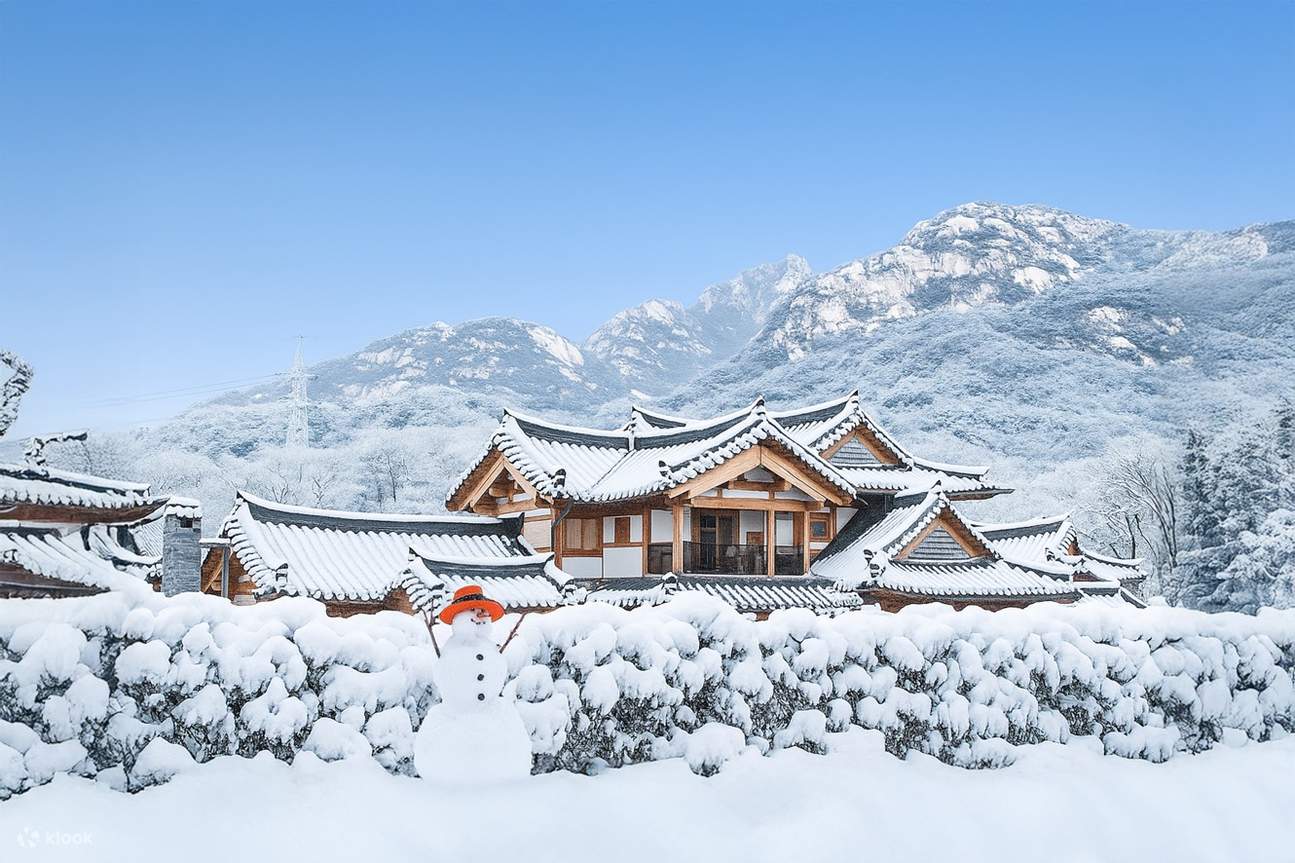 Color of Nature | Hidden Nature Day Tour Near Seoul - Klook Hong Kong