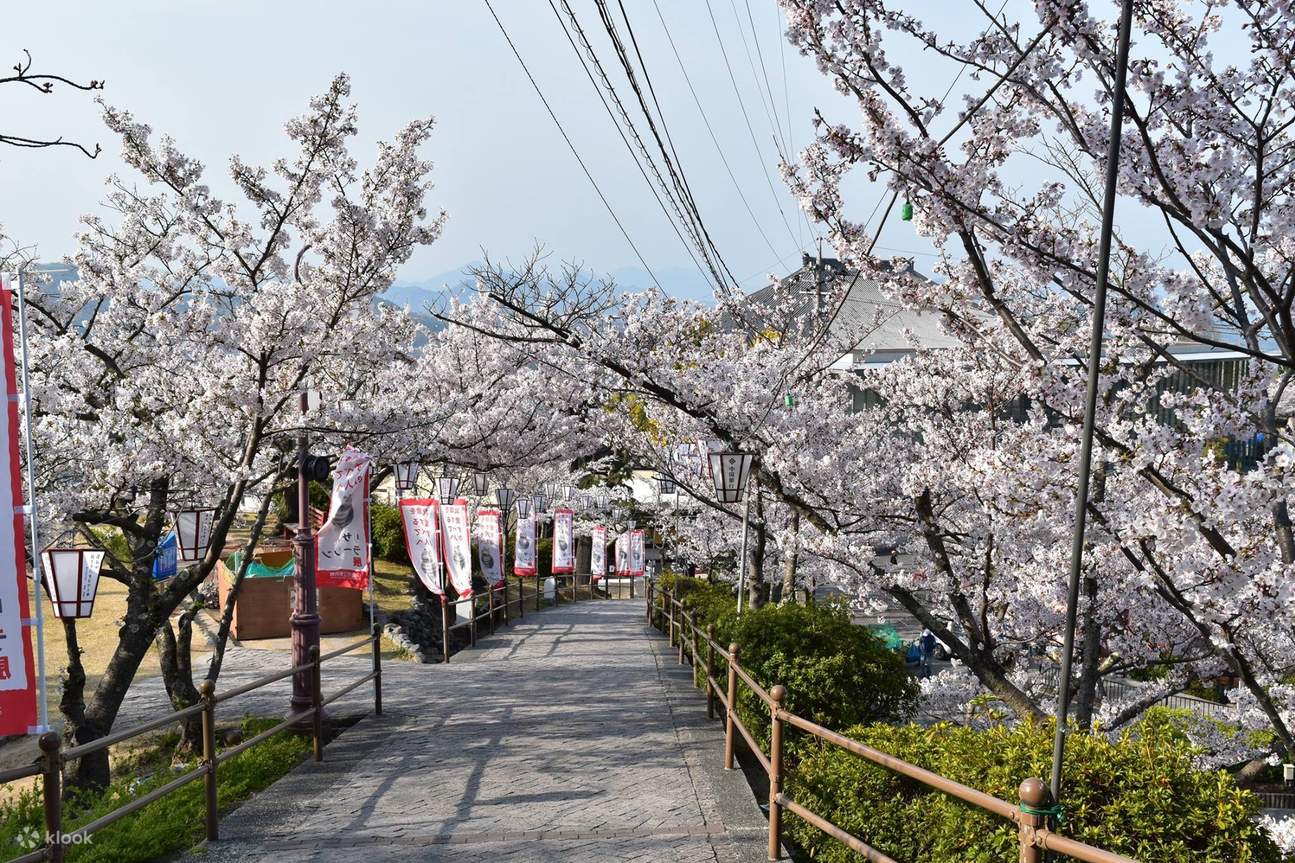 千光寺山索道 - Klook 客路