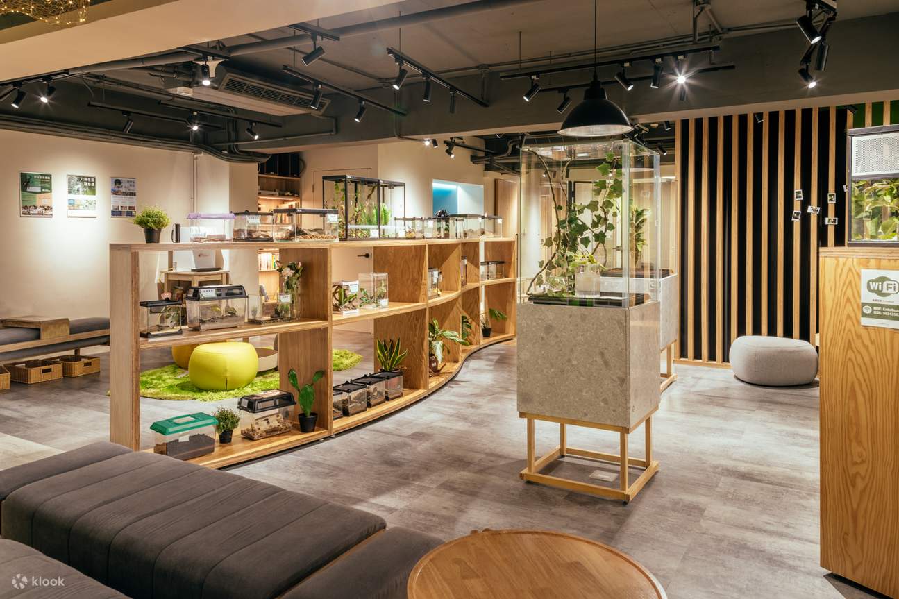 Taipei: Visit and Explore the Bugs Bass Insectarium - Klook