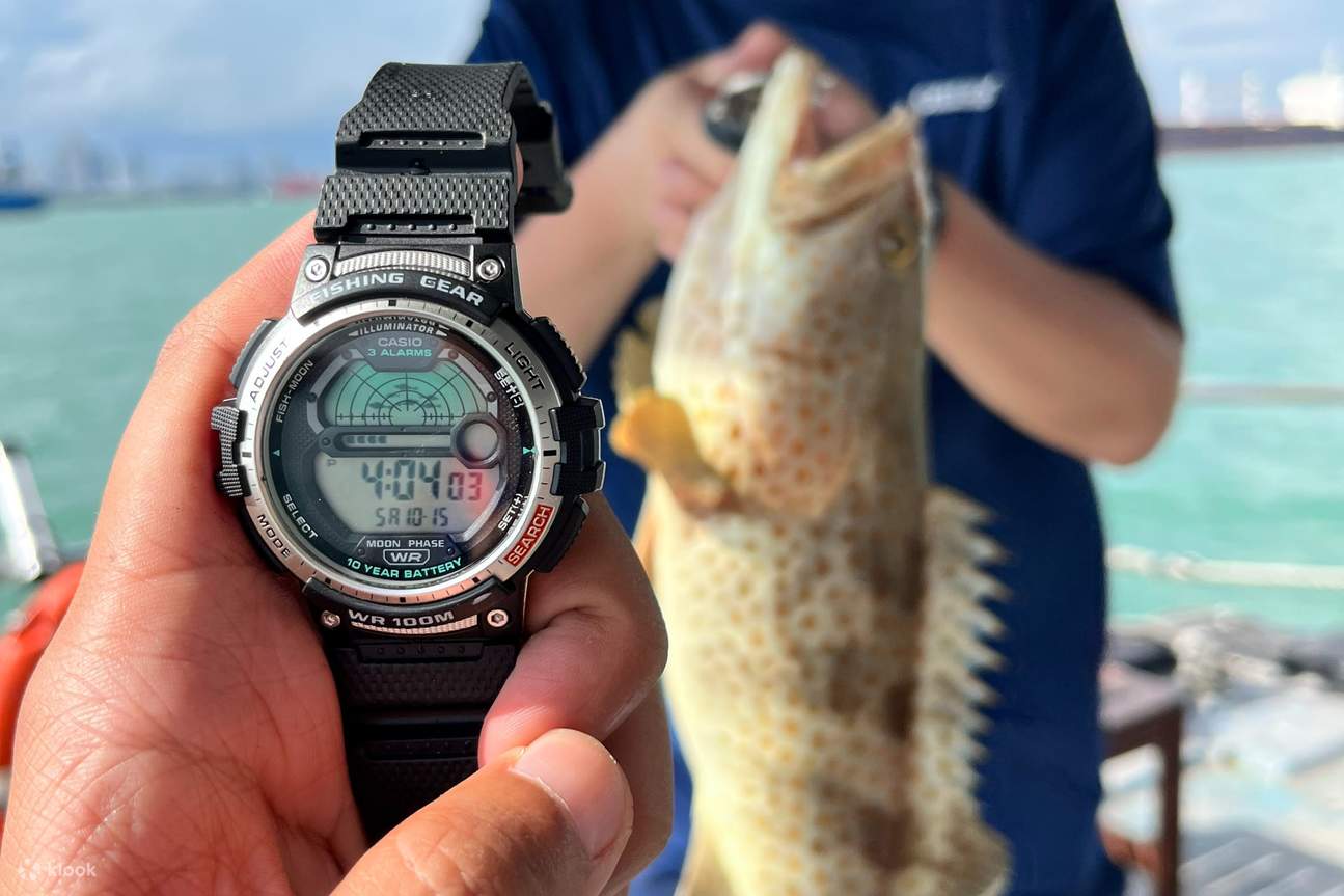 Pengalaman Memancing Kapal Pribadi Singapura oleh Purehybridz - Klook ...