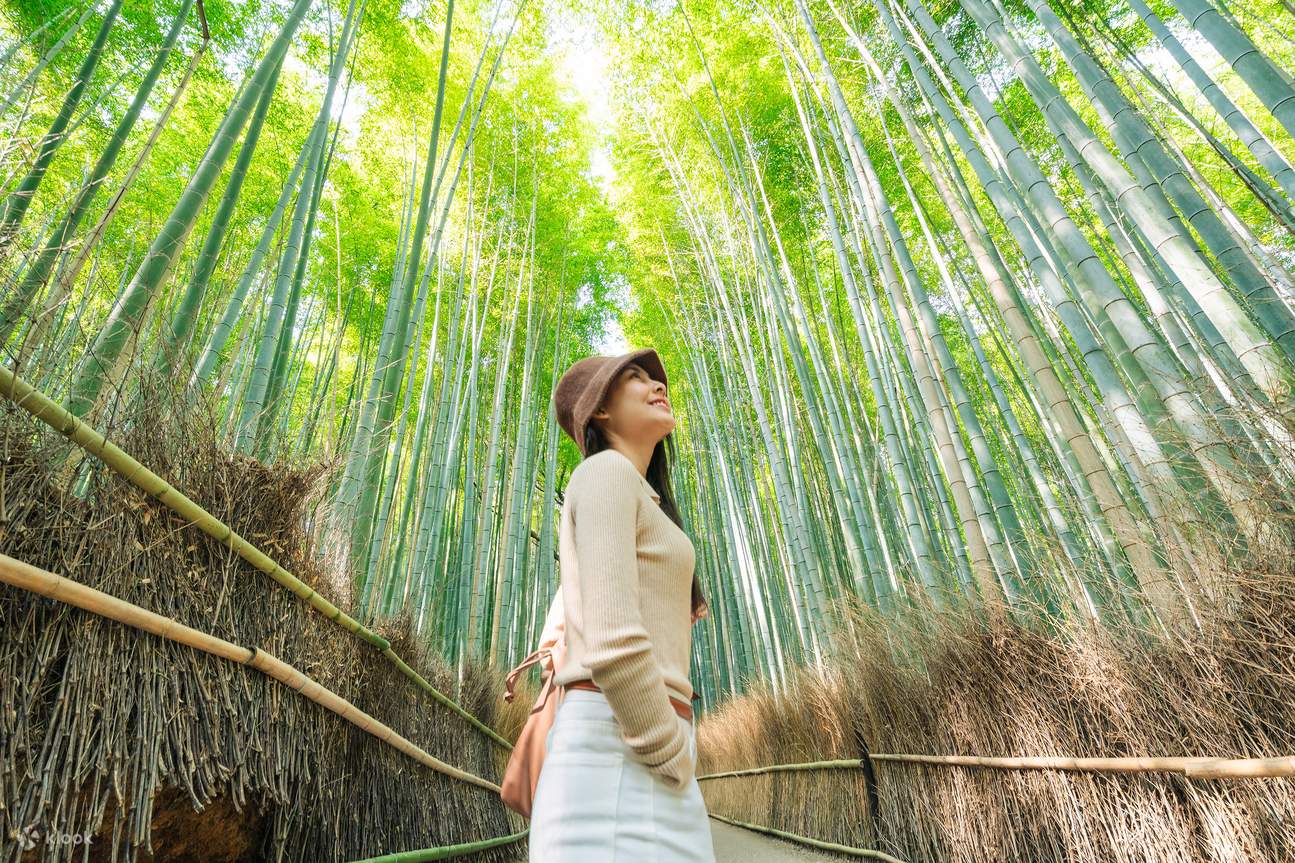 Autumn in Kyoto: Minoh, Sagano Train, Arashiyama & Kinkakuji - Klook ...