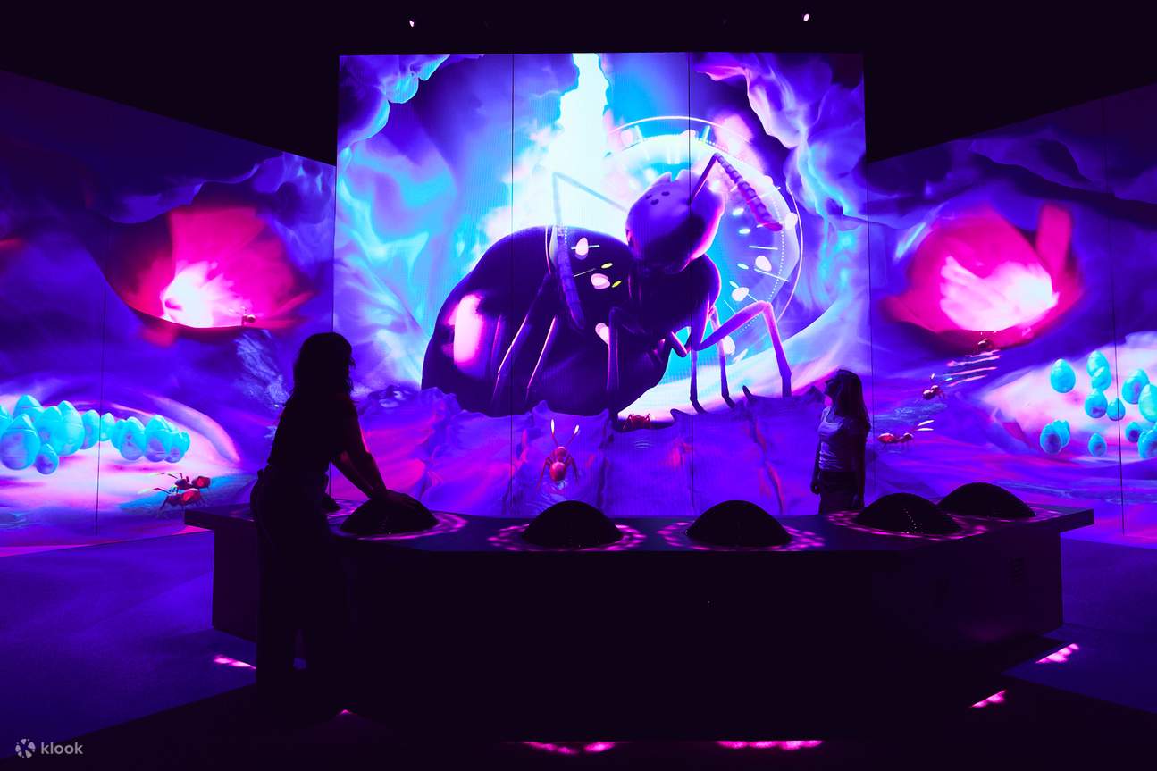 Antopia Exhibition Ticket at Melbourne Museum - Klook Australia