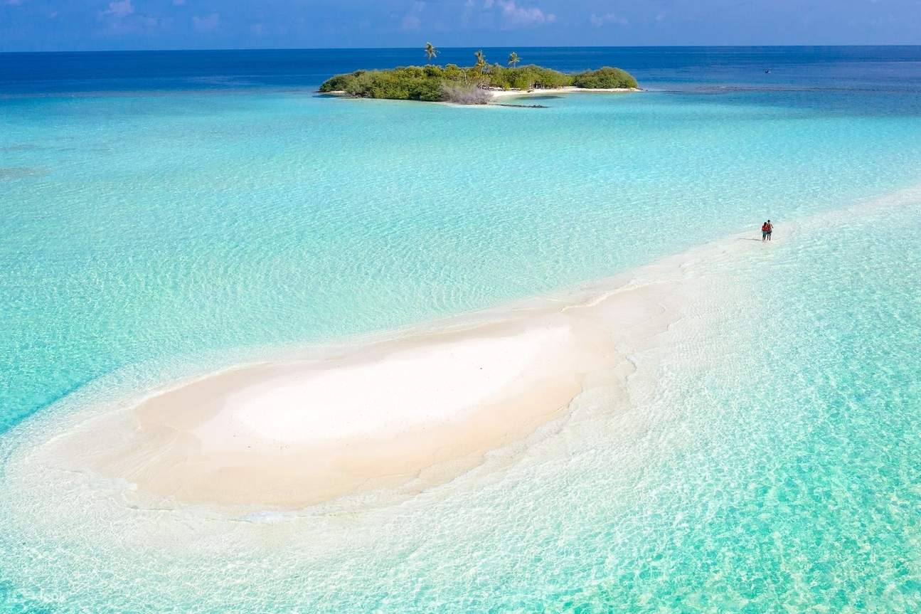 Family Sandbar Adventure in Key West - Klook Singapore