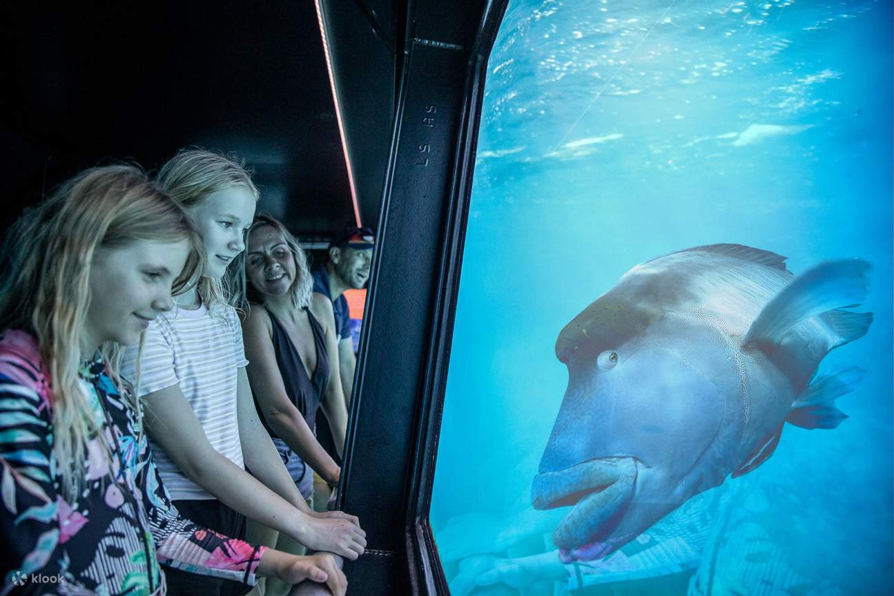 Great Barrier Reef Marine World Pontoon Cruise Tour from Cairns - Klook