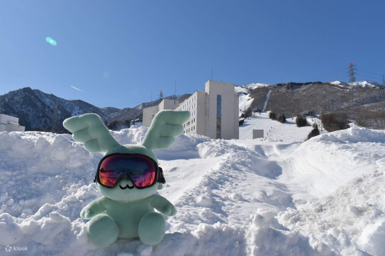 Tokyo - Naeba Ski Resort Shuttle Bus - Klook United Kingdom