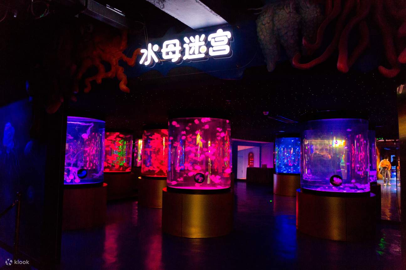 Tickets for Shenzhen Mission Hills Ocean World - Klook