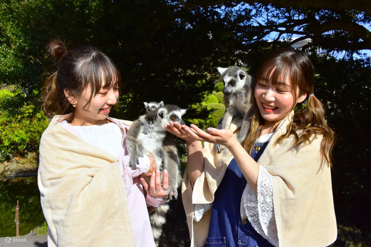 Izu Shaboten Zoo Ticket in Nagoya - Klook