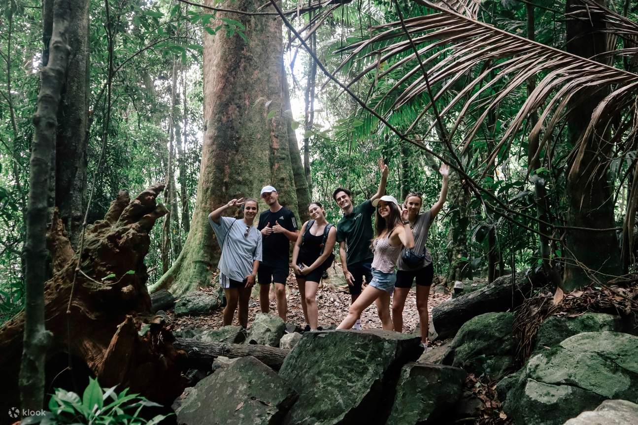 Super 7 Waterfalls and Natural Bridge Day Tour at Springbrook Nation ...