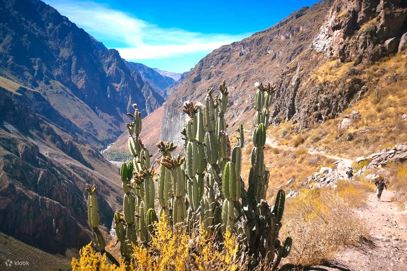 Colca Canyon Day Tour - Klook