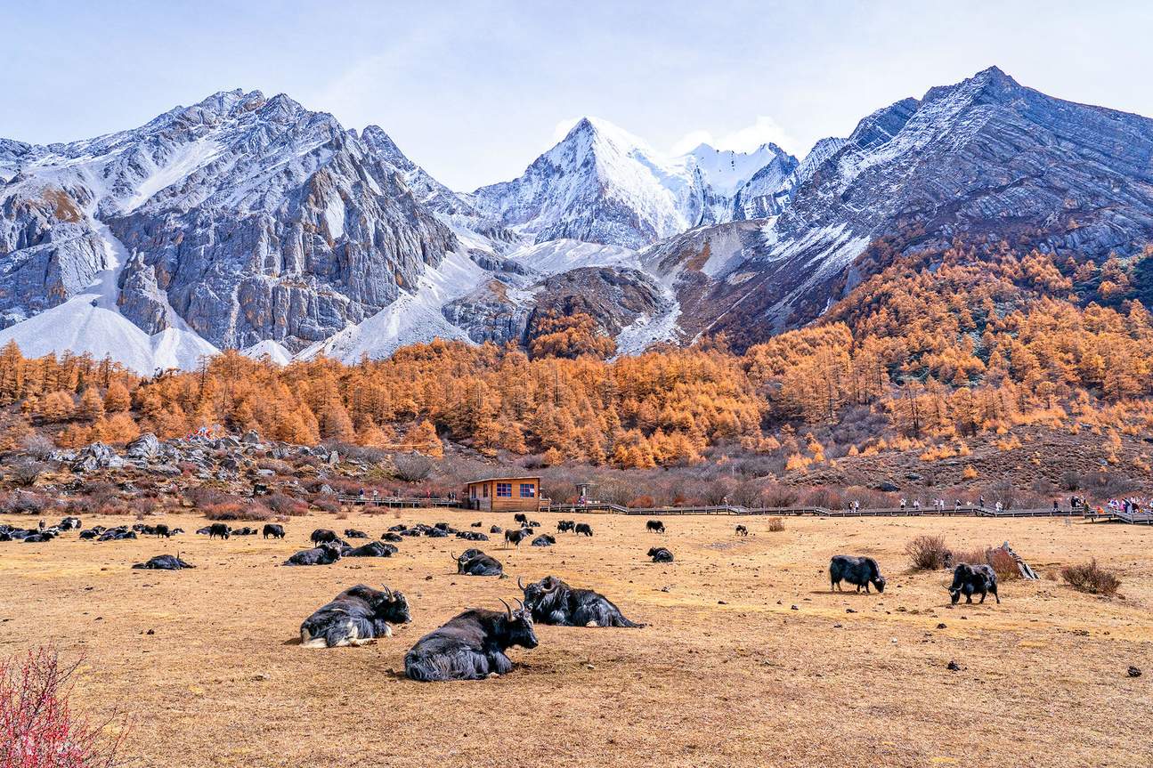 6-Day Western Sichuan Classic Loop Tour (Shuangqiaogou in Siguniang ...