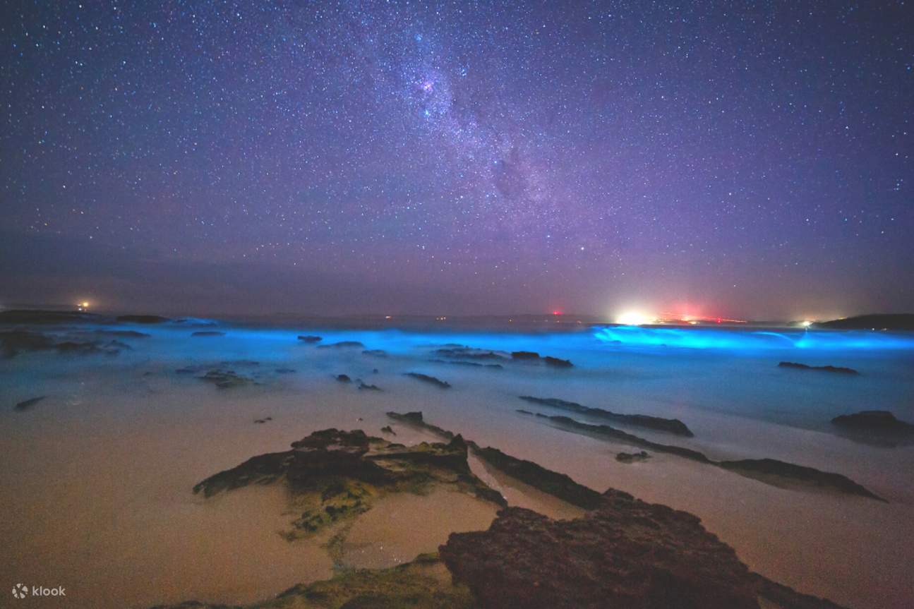 Bioluminescence Clear Kayak or Paddleboard Tour in Titusville - Klook ...