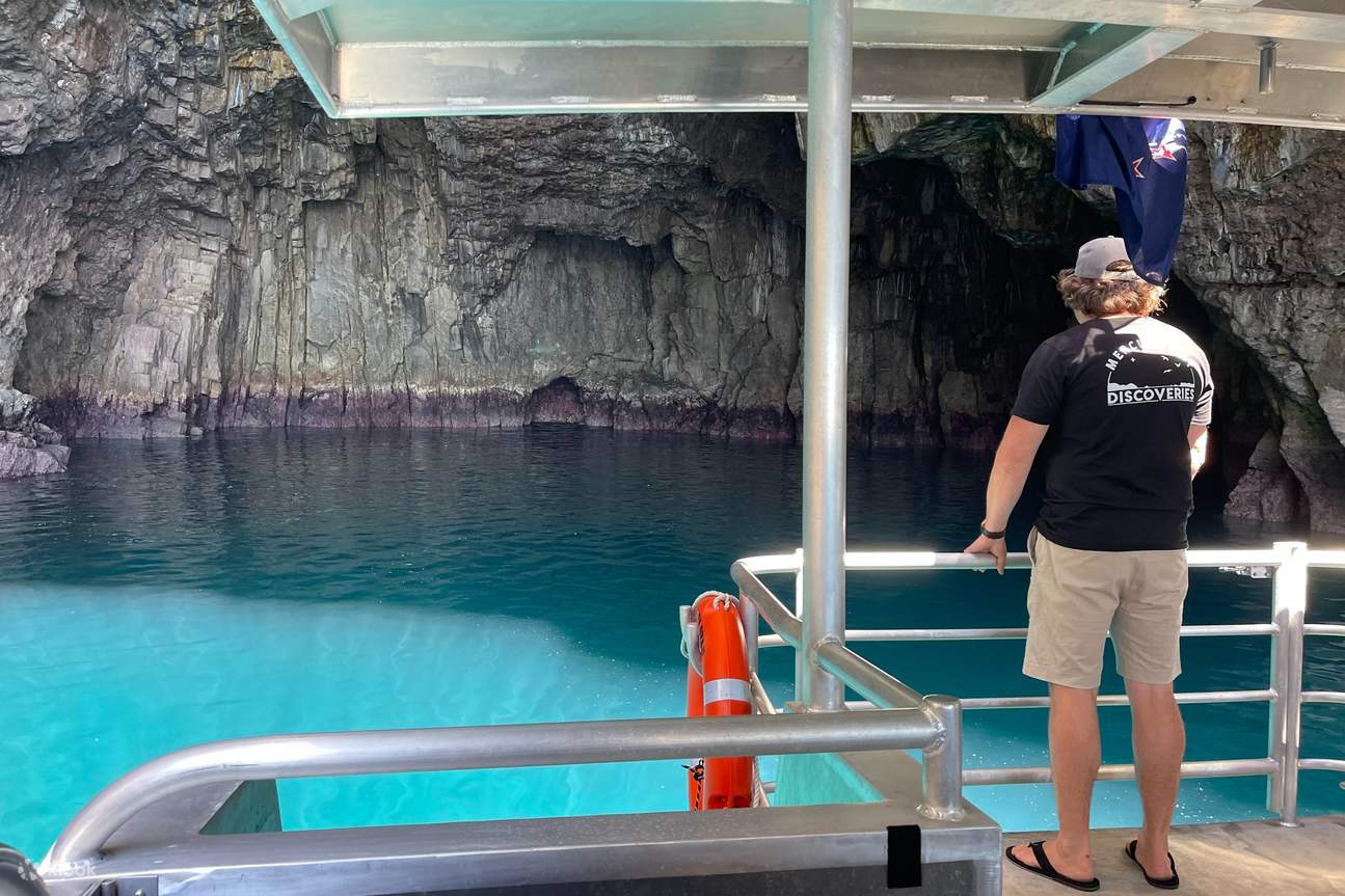 Cathedral Cove, Coast & Cave Tour - Mercury Bay Discoveries - Klook India