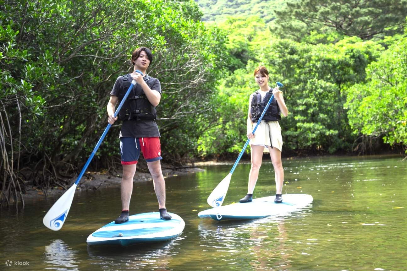 SUP Mangrove Pulau Iriomote atau Pengalaman Setengah Hari Kano (Okinawa) - Klook Indonesia