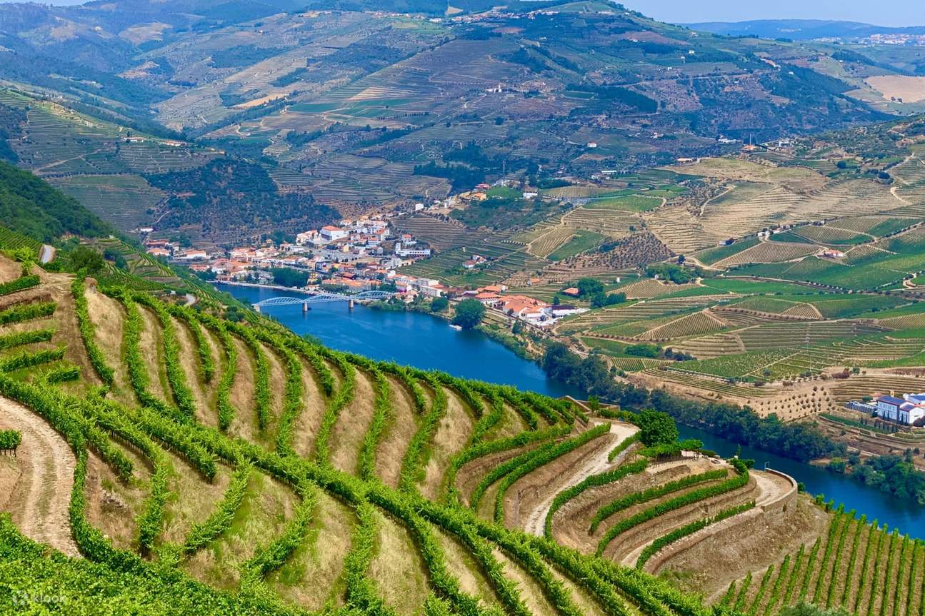 Douro Valley Small Group Day Tour with Lunch - Klook Estados Unidos