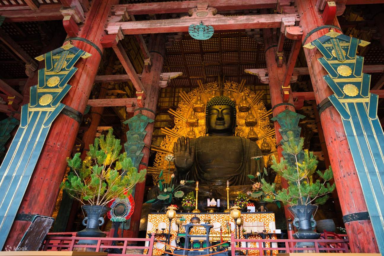 [One-day tour of Kyoto, Nara, and Uji] Nara Park's cute deer, Fushimi Inari Taisha Shrine's ...