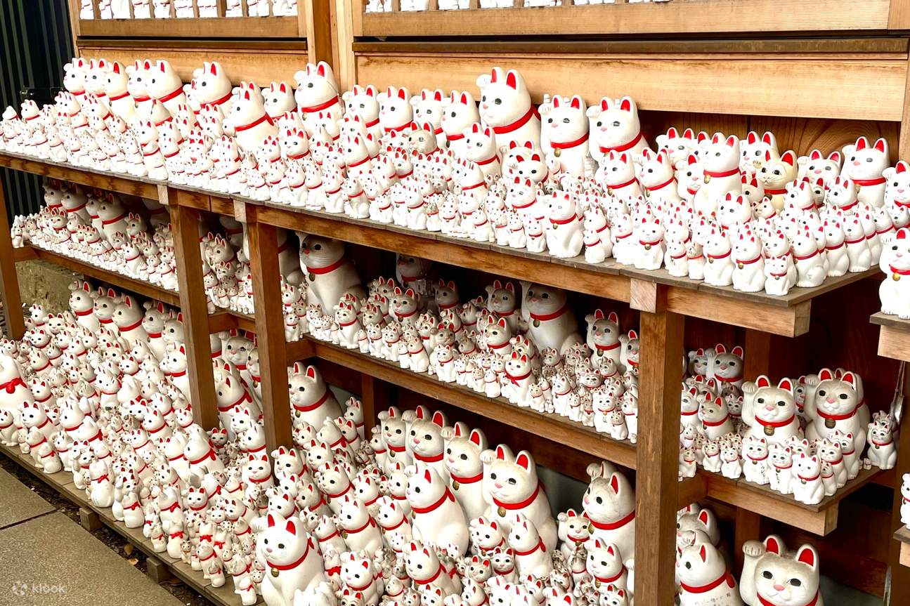 Gotokuji Cat temple, Shinjuku Cat cafe and 3D Cat tour (Tokyo) - Klook ...