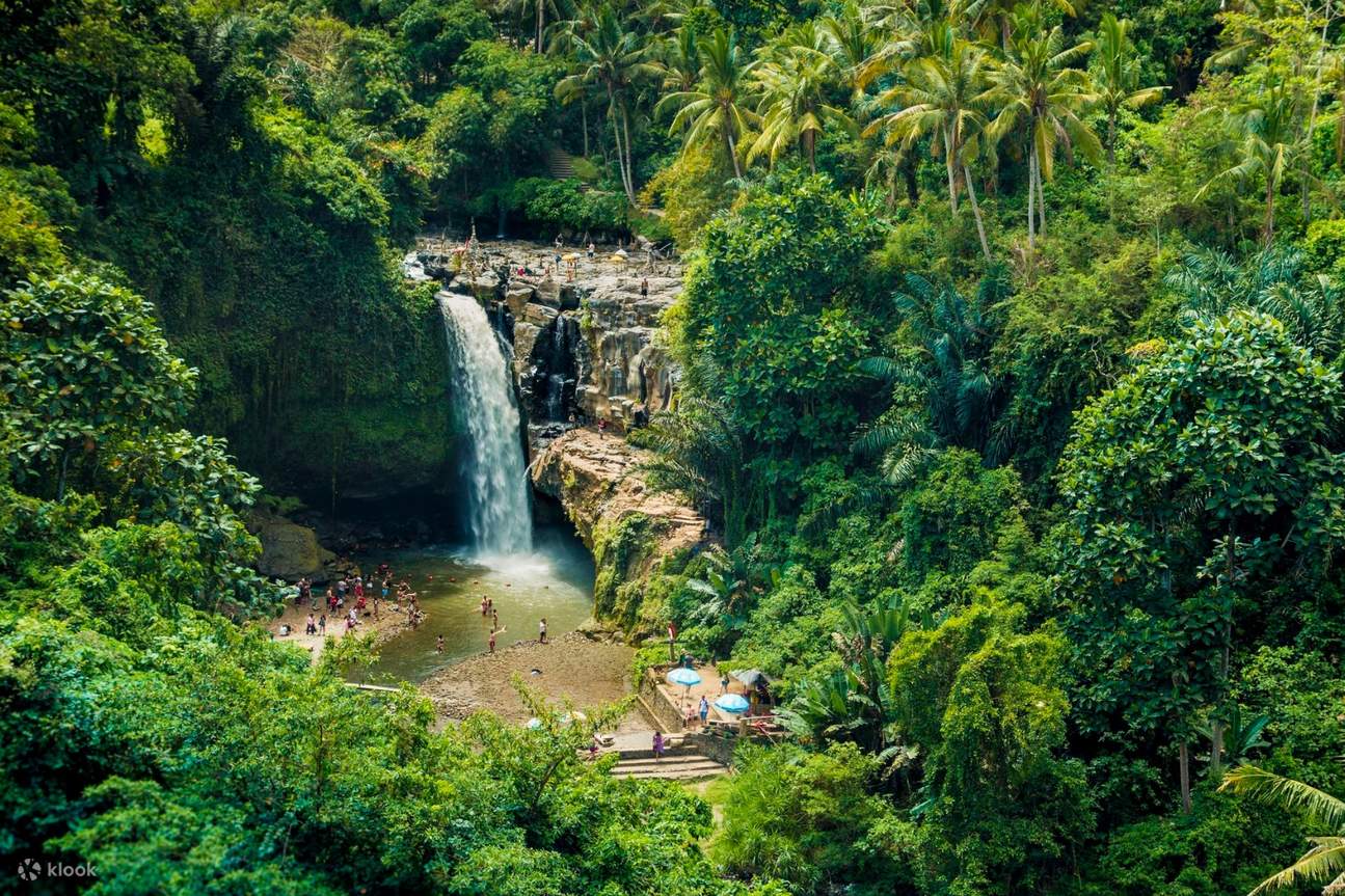 Ubud Highlights Day Trip - Klook