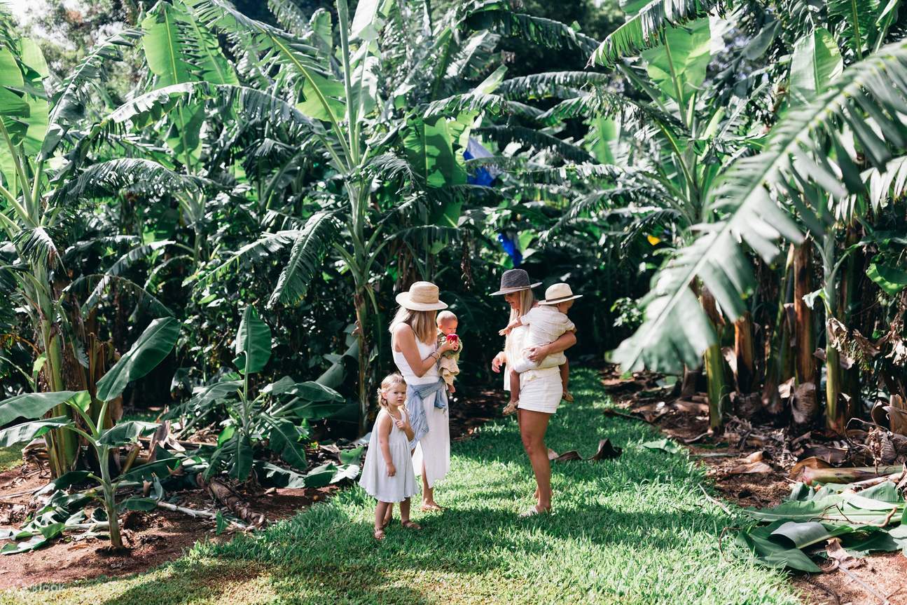 Tropical Fruit World Ticket - Klook Australia