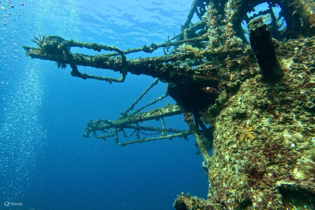 Scuba Diving in HMAS Swan Shipwreck Dive in Busselton - Klook