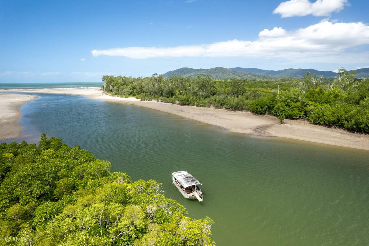 Daintree Rainforest Join In One Day Walking Tour from Port Douglas - Klook