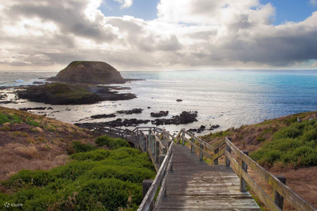 Phillip Island Penguin Parade and Churchill Island Farm Bus Tour ...