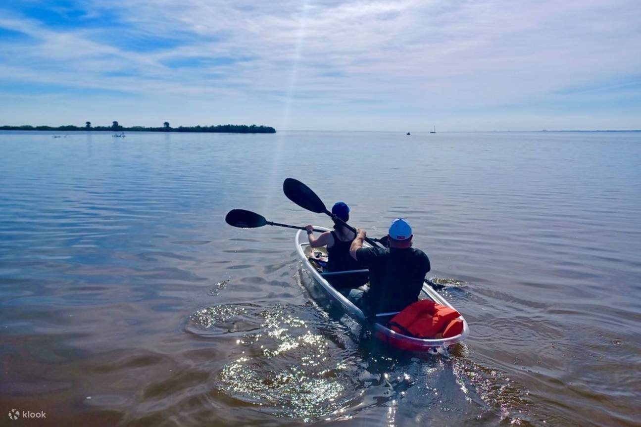 Dolphin & Manatee Kayak or Paddle Board Tour in Titusville - Klook ...