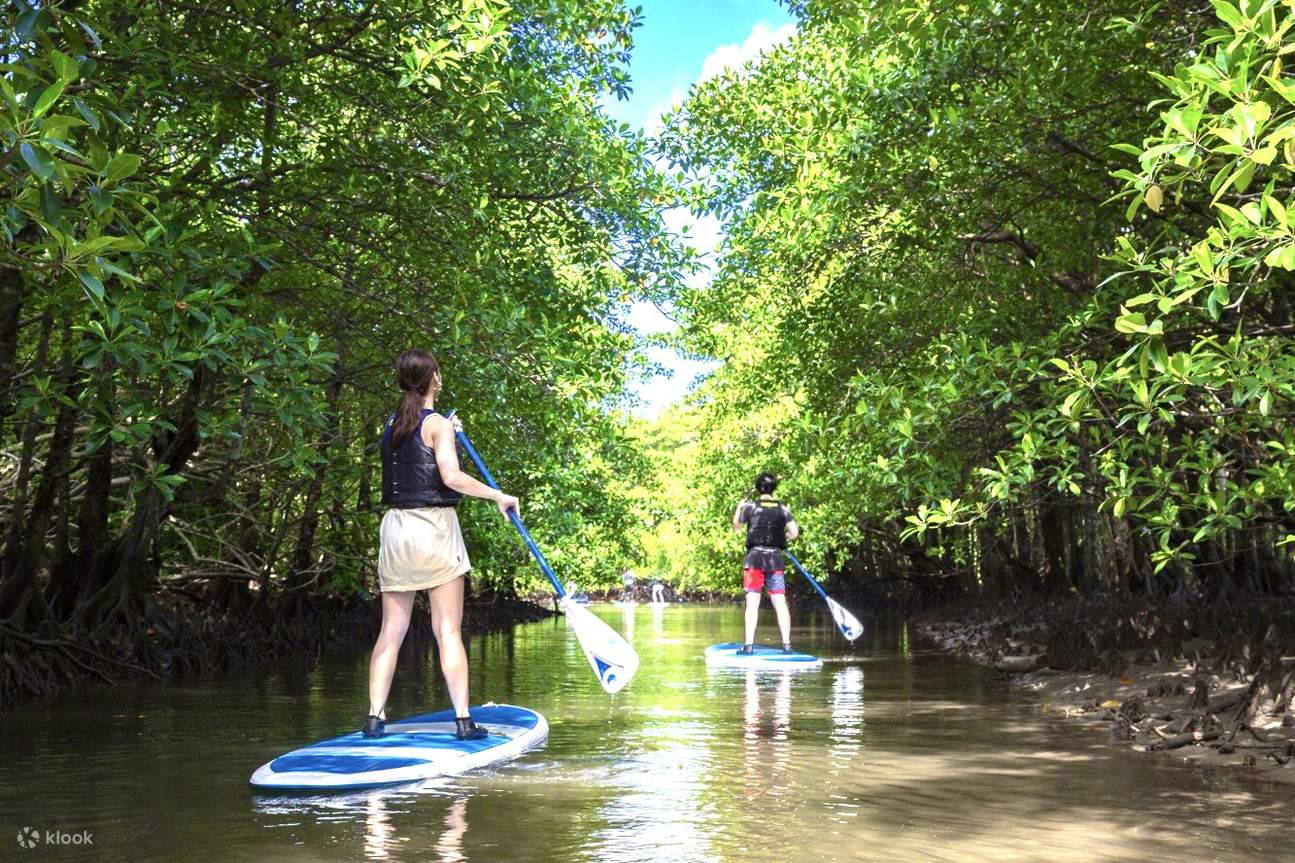 Trải nghiệm SUP nửa ngày trên đảo ngập mặn Iriomote hoặc ca nô (Okinawa) - Klook Việt Nam