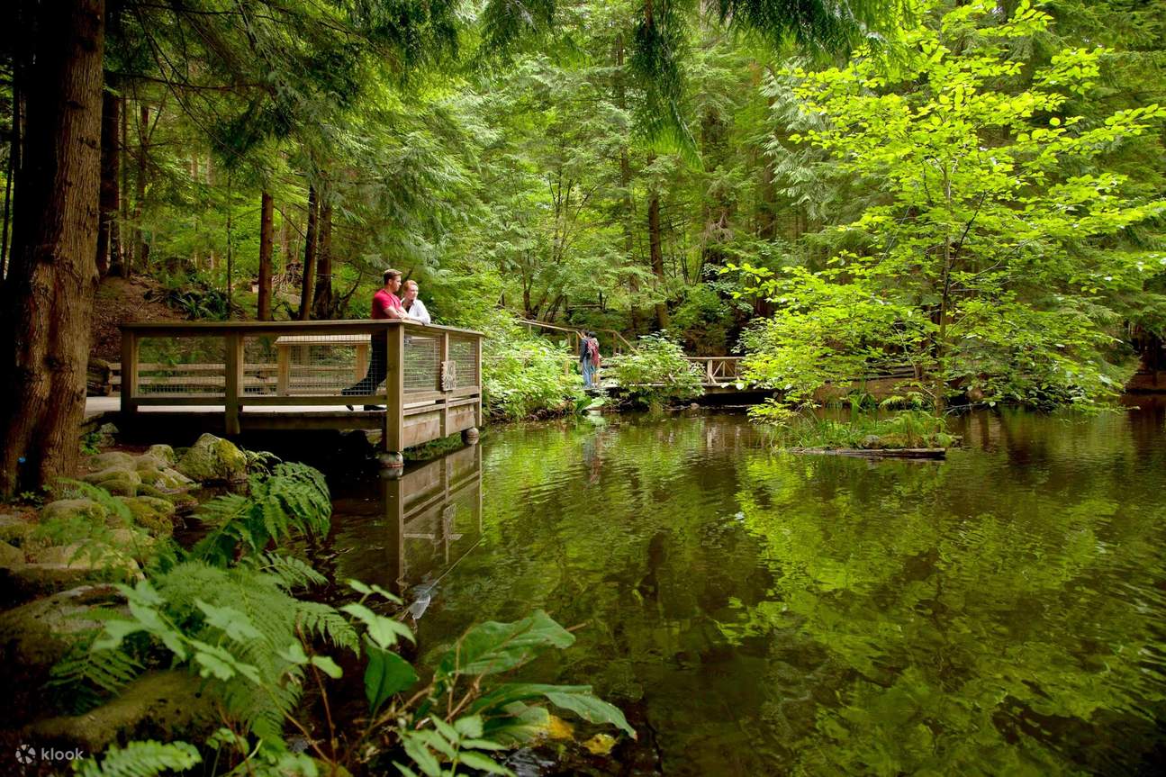 Grouse Mountain and Capilano Suspension Bridge Park Join In Half Day ...