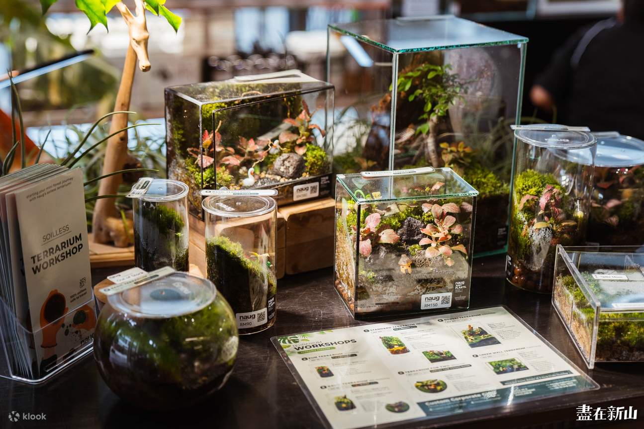 Soilless Terrarium DIY Workshop (Naug Studio Southkey Outlet) - Klook Singapore