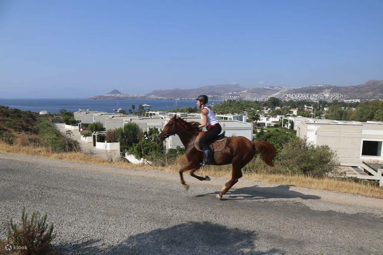 Horseback Riding Experience in Bodrum - Klook Philippines