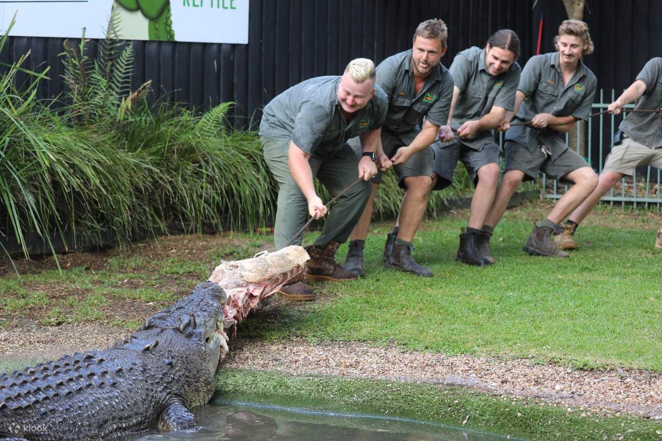 Australian Reptile Park Tickets - Klook