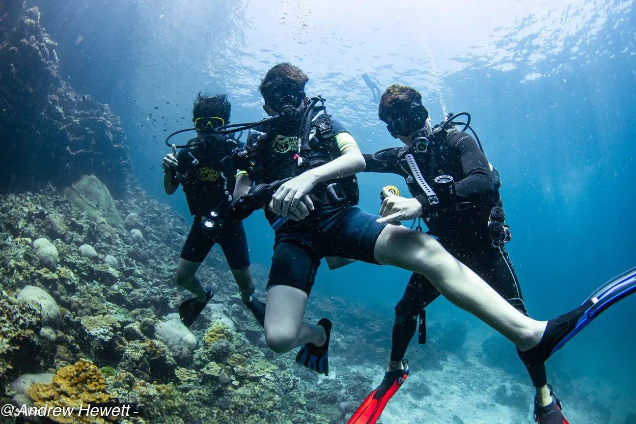 Get Certified as a PADI Open Water Diver on Phi Phi Island at Our PADI ...