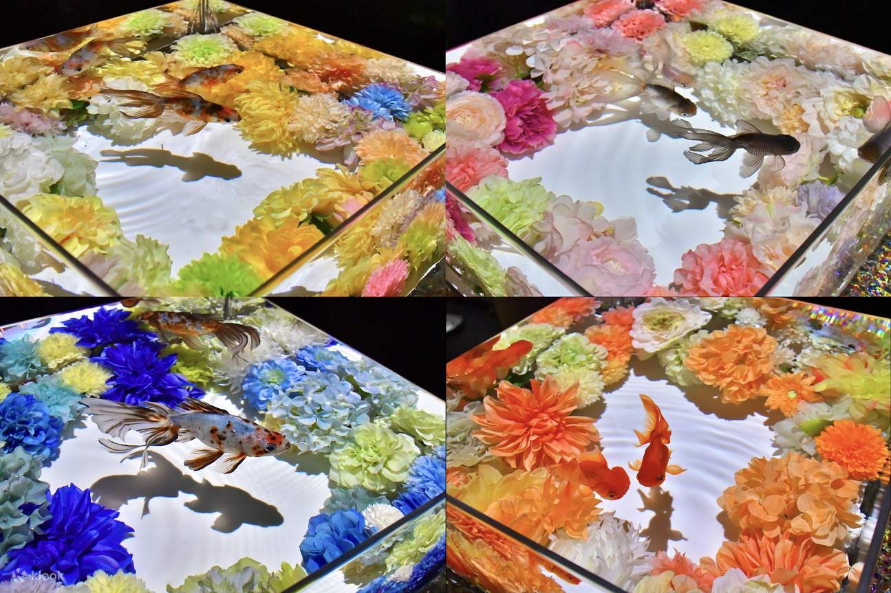 Mga Ticket sa Art Aquarium Museum GINZA - Klook Estados Unidos