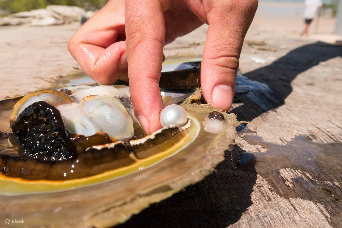 Horizontal Falls & Dampier Peninsula, Australia One Day Helicopter Tour ...