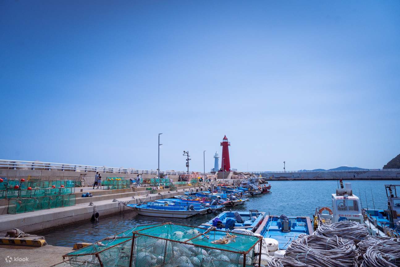 [Busan One Day Tour] Special places in Busan that you must introduce to ...