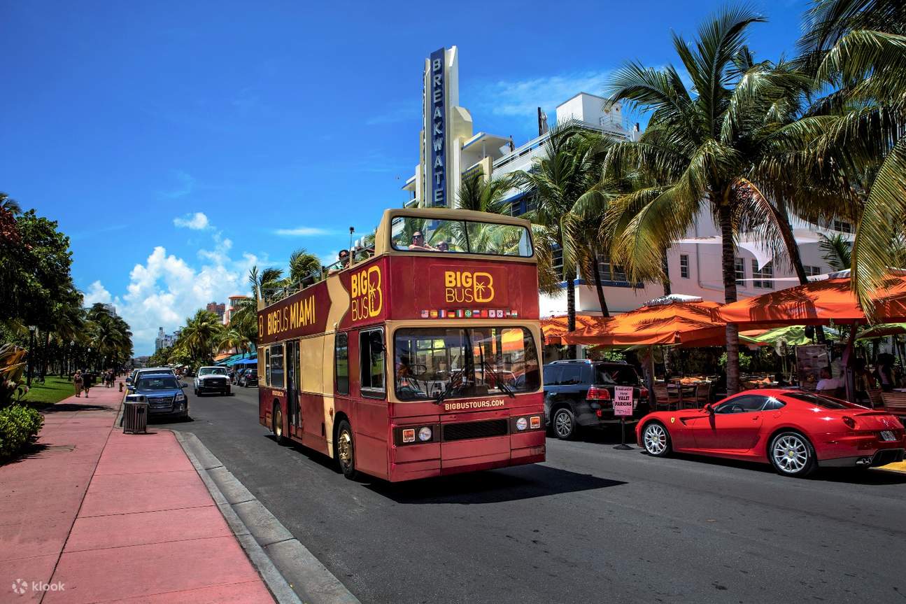Miami Big Bus Hop-On Hop-Off Tours (Open-Top) - Klook India