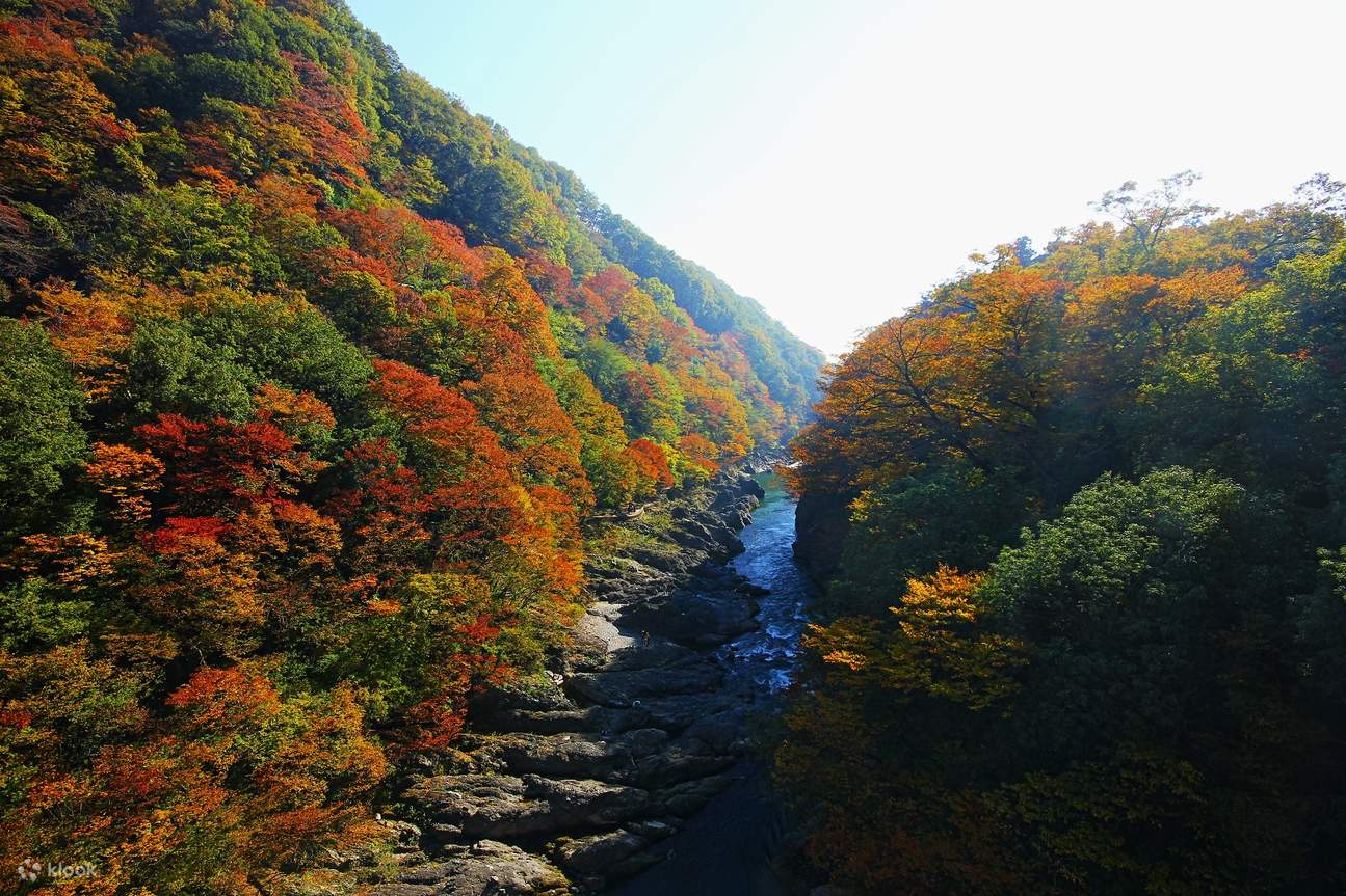 One-day maple viewing tour in Gunma: Hotokuji Temple & Takatsuto Gorge ...