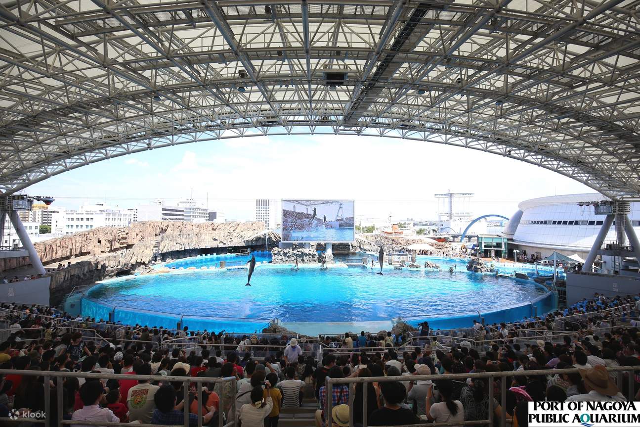 名古屋港水族館門票 Klook 客路