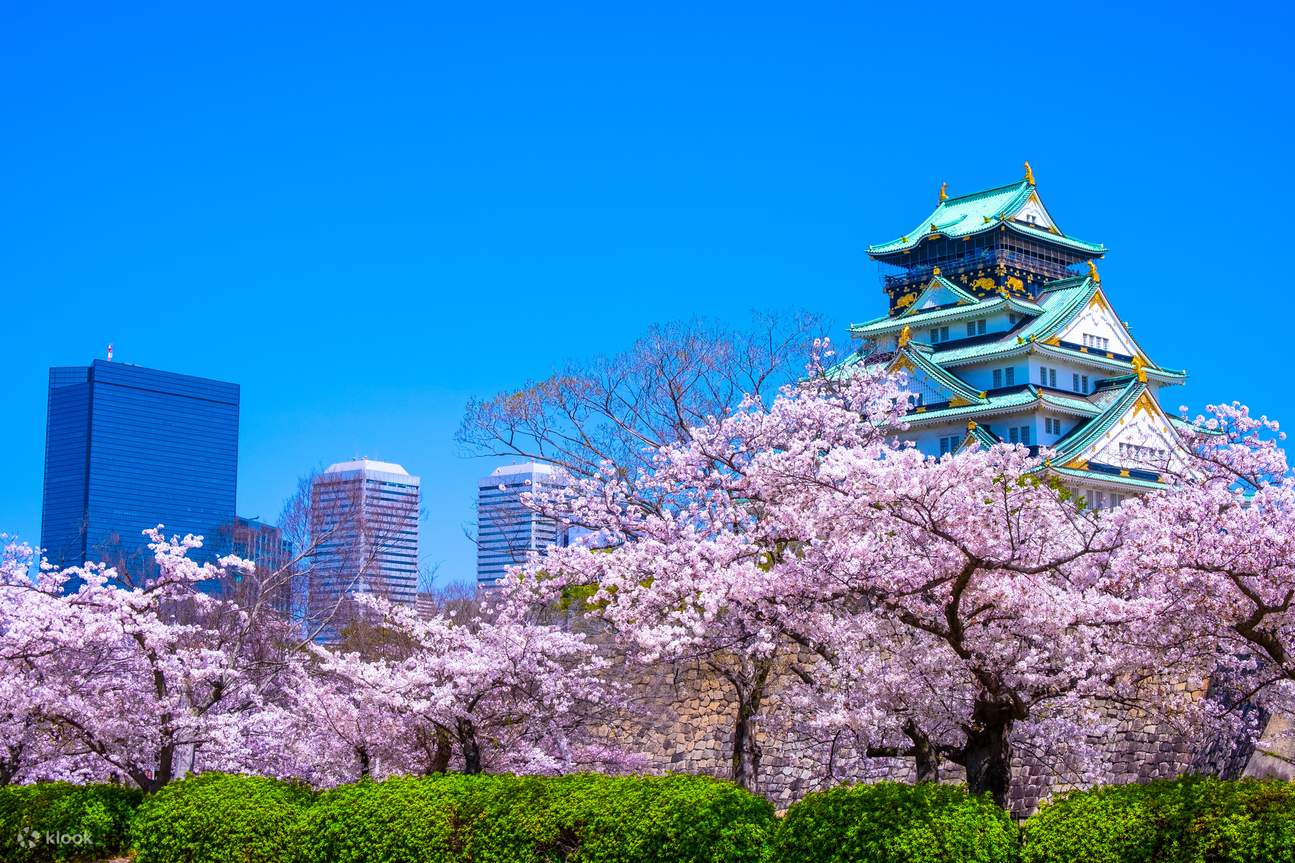 Online reservation for snapshot photography experience (Osaka) - Klook