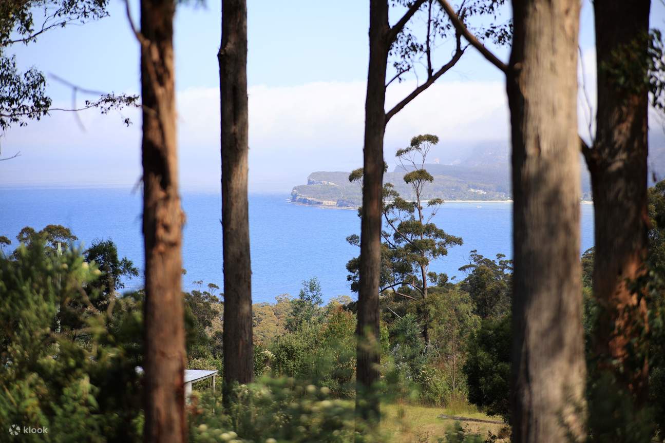 Tasmania-Tasman Peninsula one-day tour/Daily departure from Hobart ...