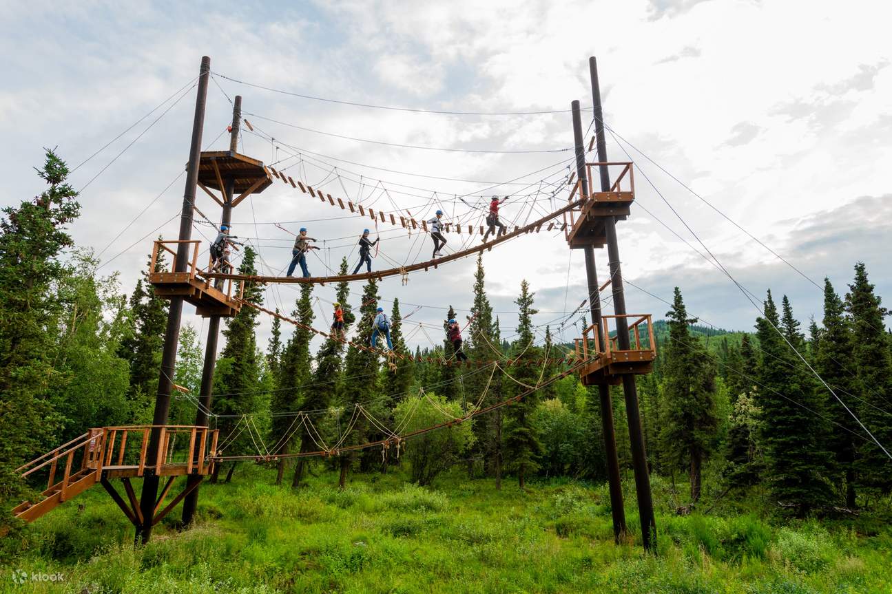 Zipline Adventure Tour in Denali Park - Klook